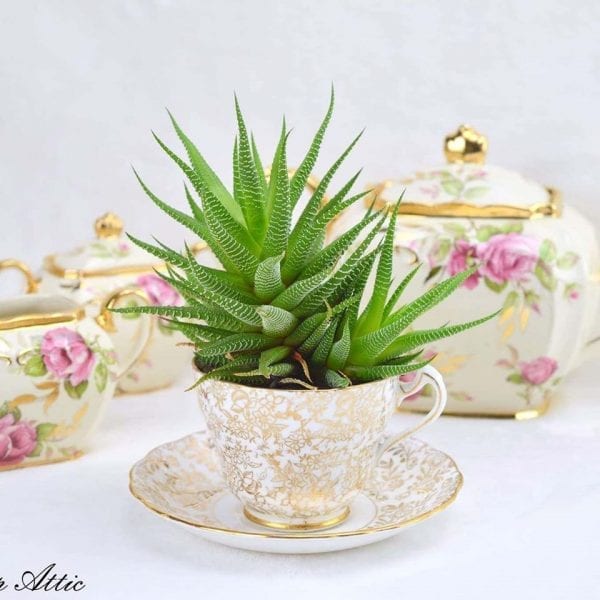 20 different way to recycle, upcycle and repurpose Old China