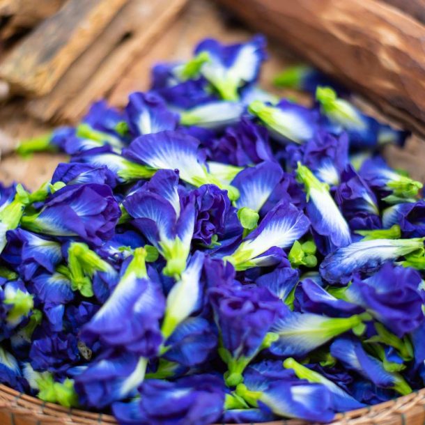Butterfly Pea Matcha Maple Latte