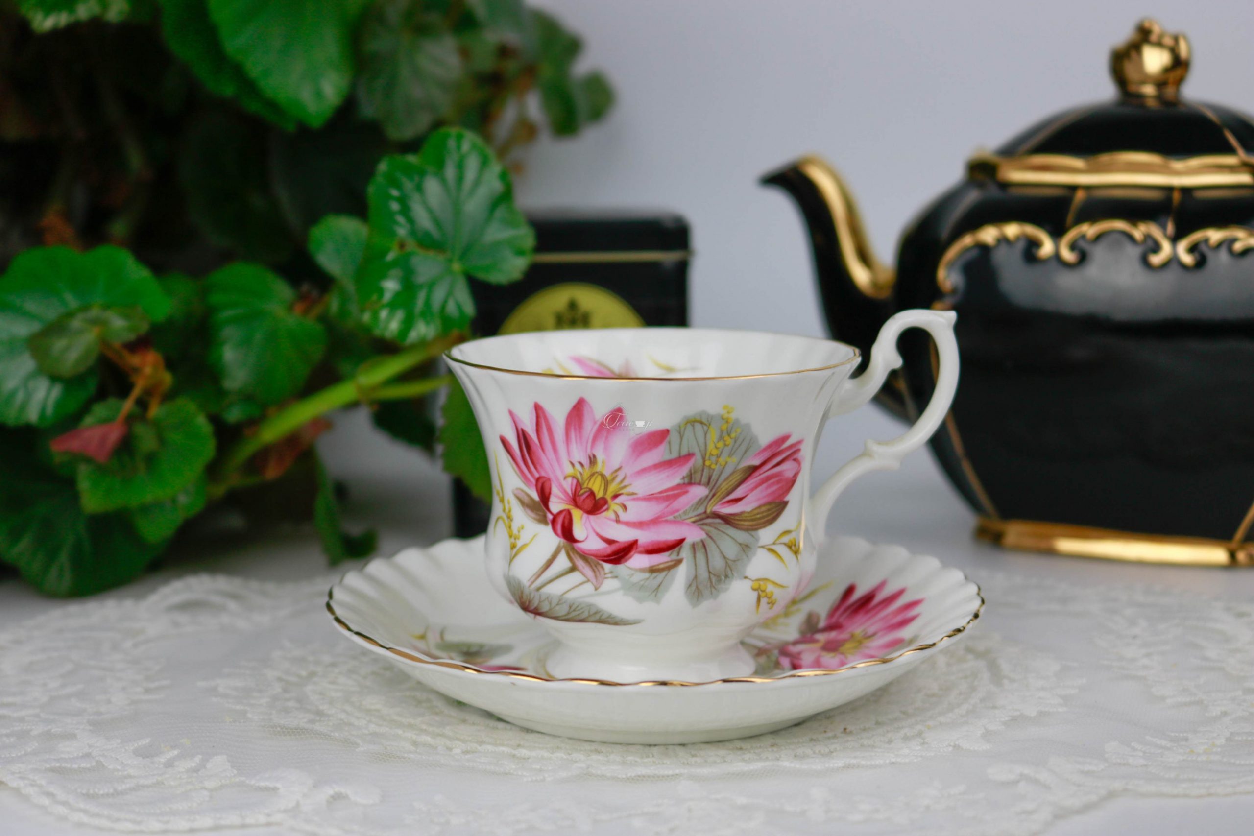 Welcome To The Teacup Attic - The Teacup Attic